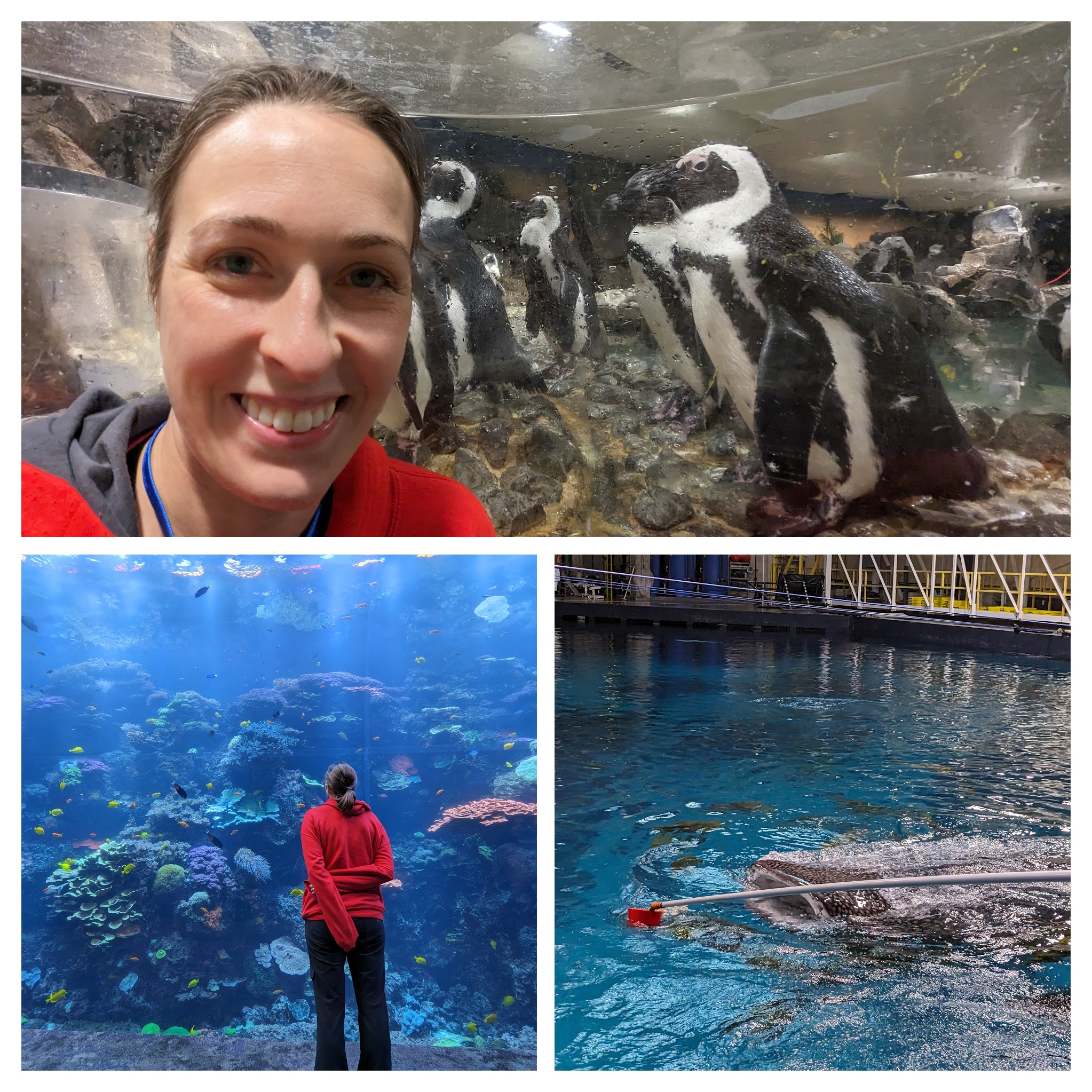 Wesner's Year in Review: 2023 – Pickled Pleasures